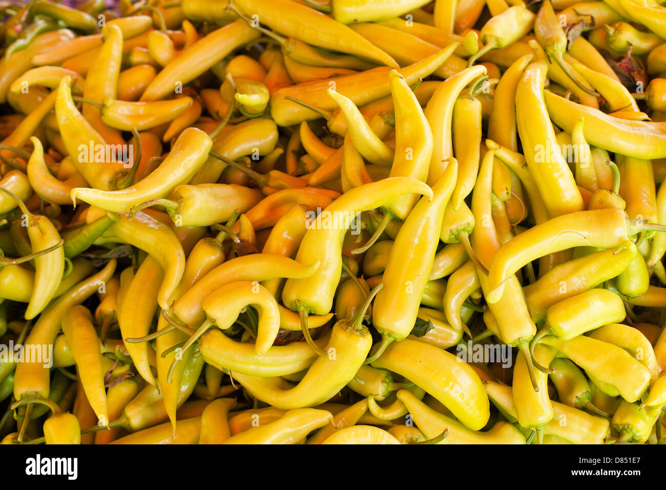 display of peppers at the market Stock Photo - Alamy
