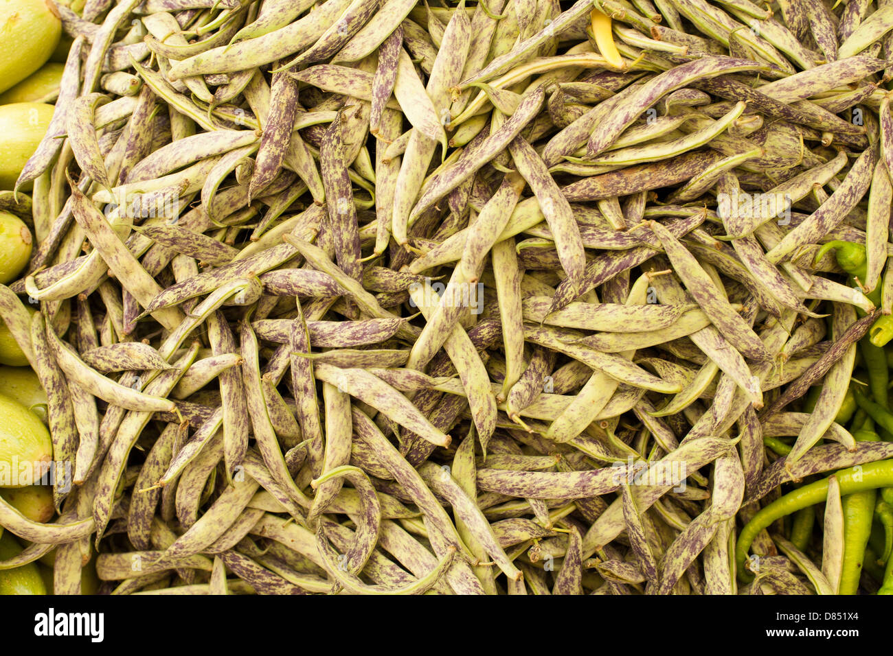 Beans display hi-res stock photography and images - Alamy