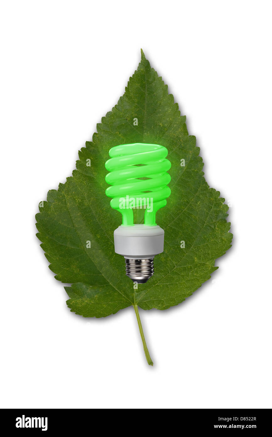What Is Green Power Energy at Joyce Hartmann blog