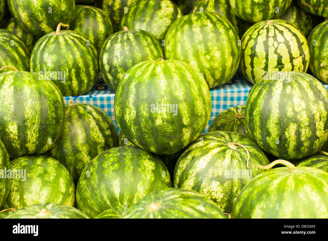 display of watermelons on the market Stock Photo - Alamy