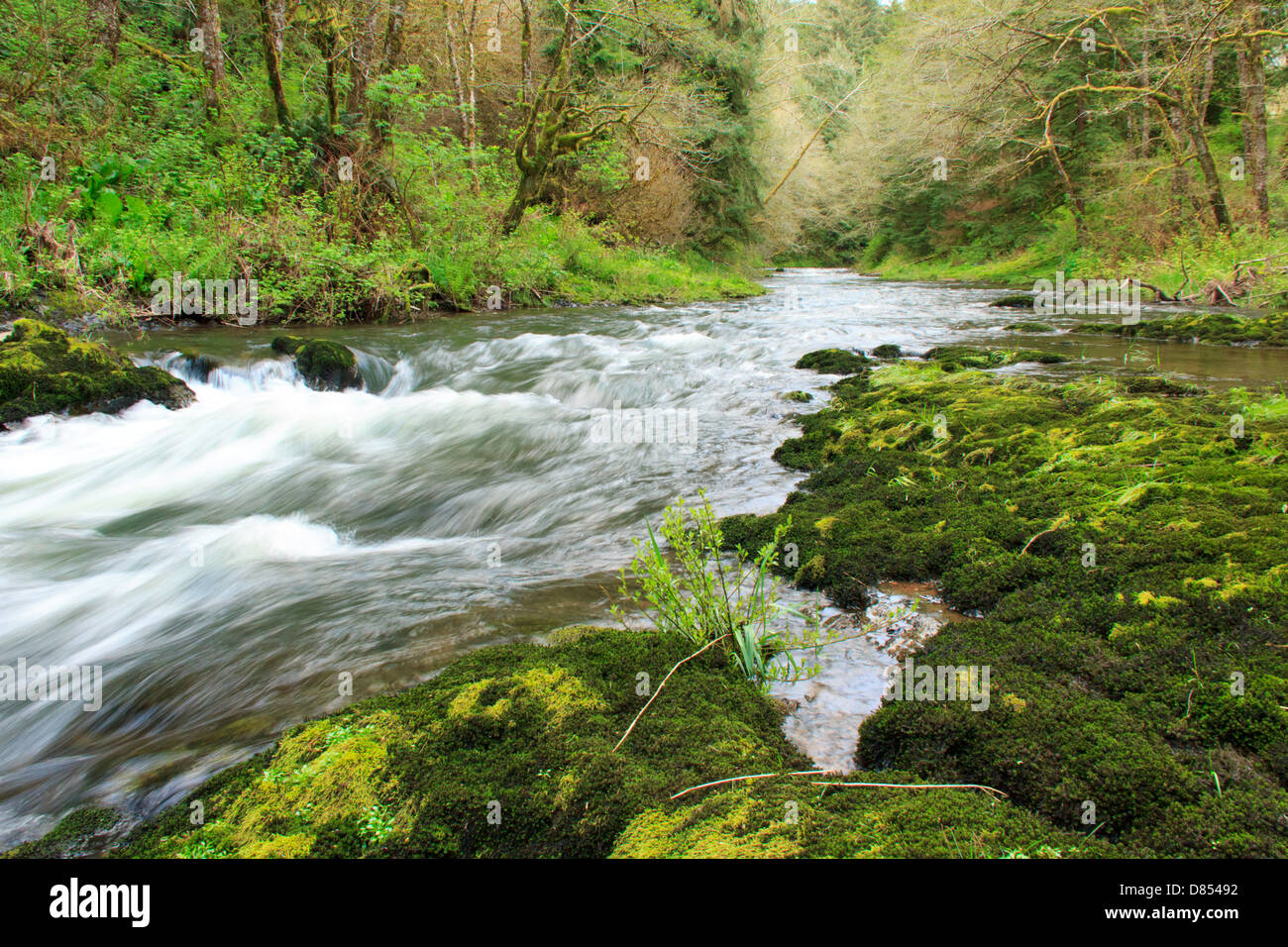 41,378.08521 Beautiful water landscape with low and wide-angle view of ...