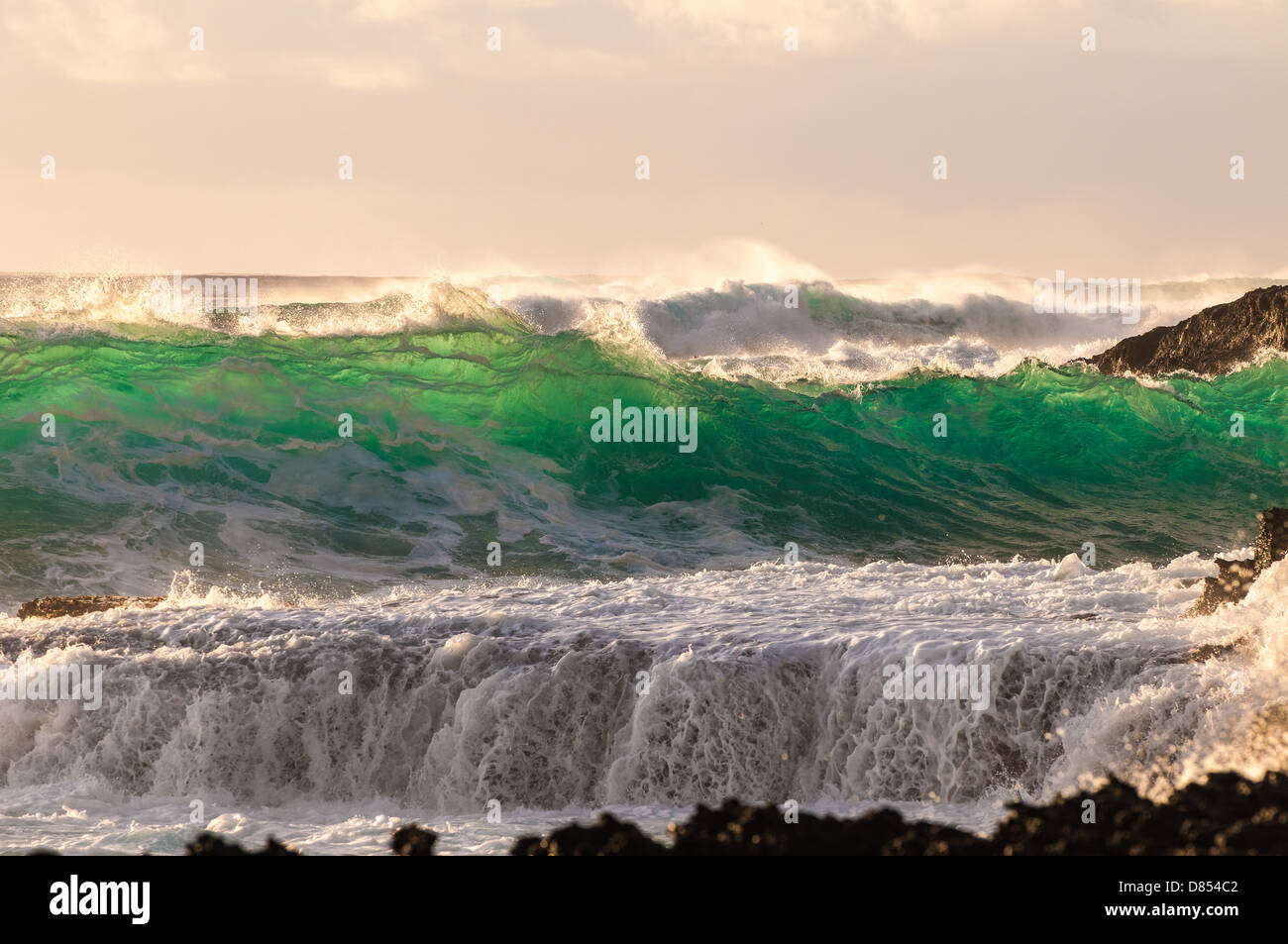 Wave breaking on lava shelf, Oahu, Hawaii Stock Photo - Alamy
