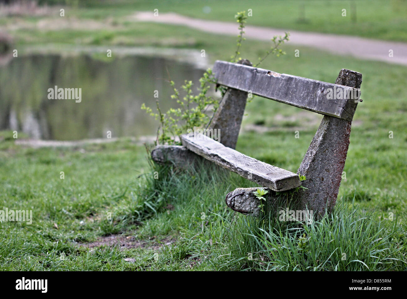 Old bench in the park Stock Photo - Alamy