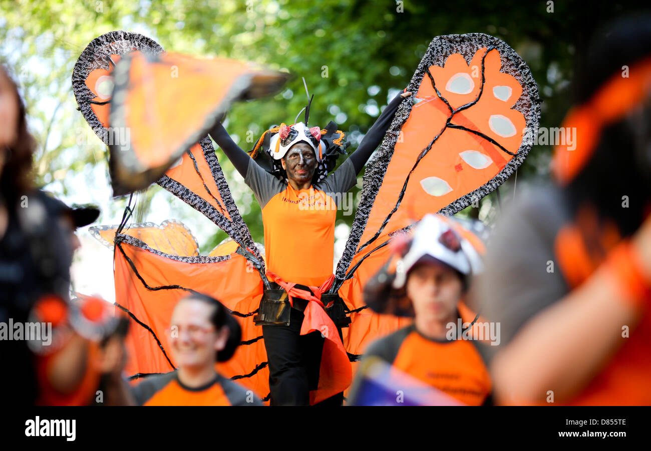 Procession of insects hi-res stock photography and images - Alamy