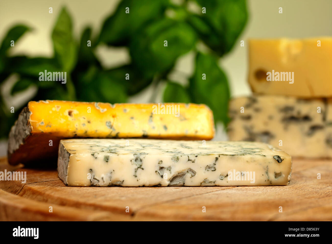Various types of cheese closeup Stock Photo - Alamy