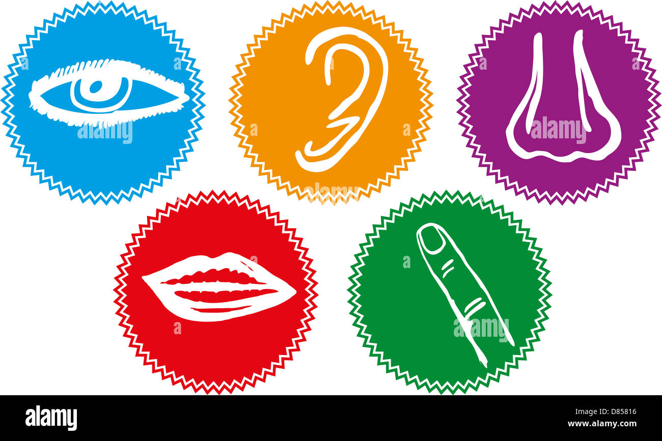 Five senses icon set - Vector Illustration Stock Photo - Alamy