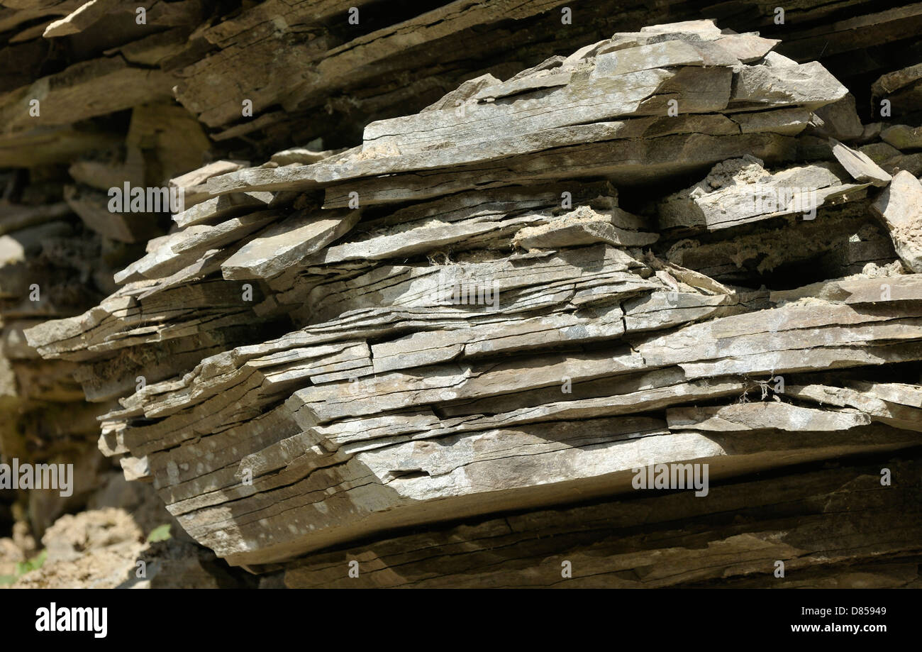 Slate rock formation detail, Warren Woods, Radnor Forest, Powys, Wales ...