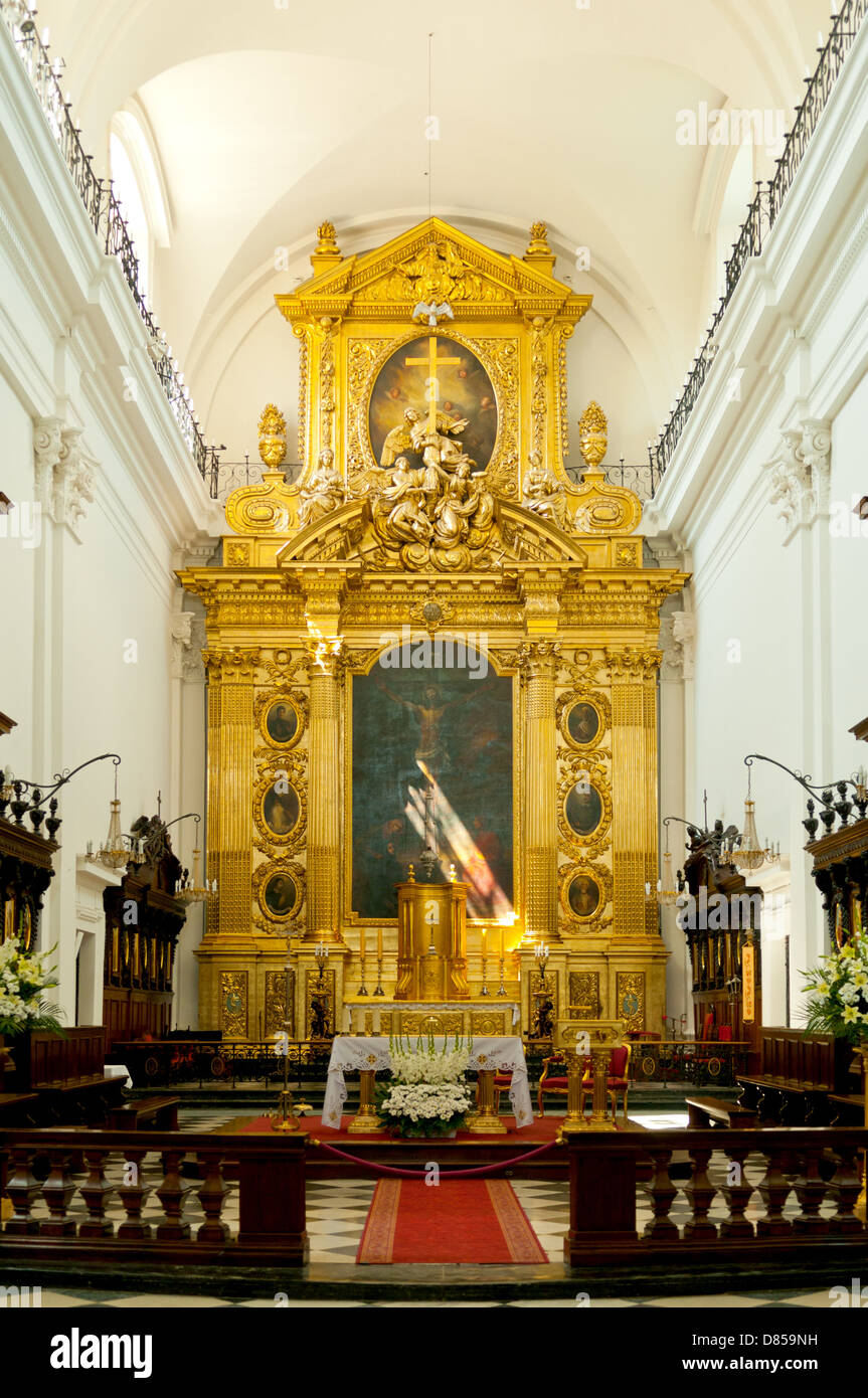 Inside the Church of the Holy Cross, Warsaw, Poland Stock Photo - Alamy