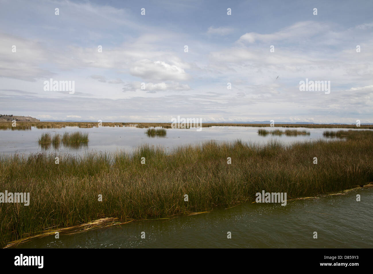 The Uros people of the Peruvian Lake Titicaca Stock Photo - Alamy