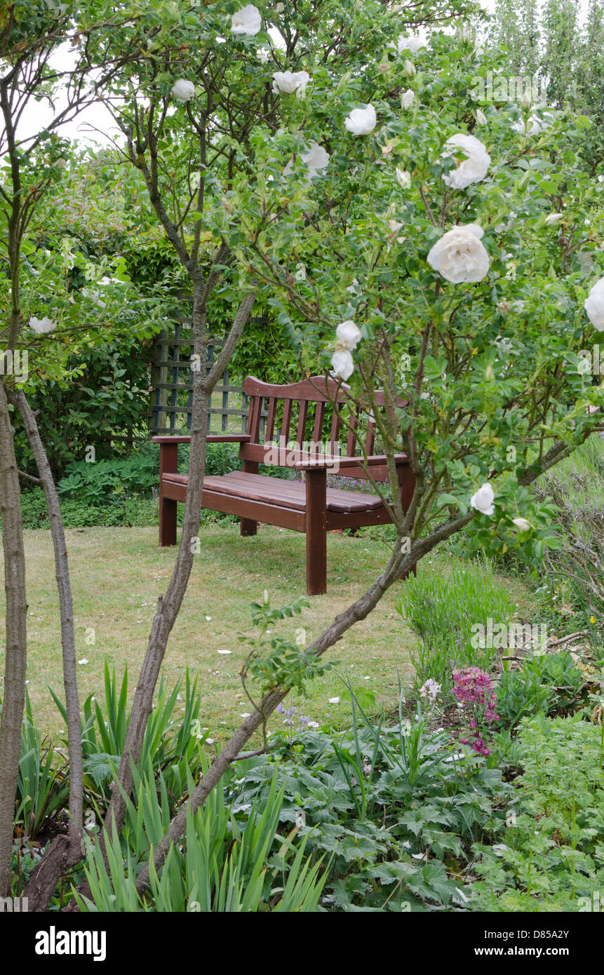 Wooden bench in a cottage garden Stock Photo - Alamy