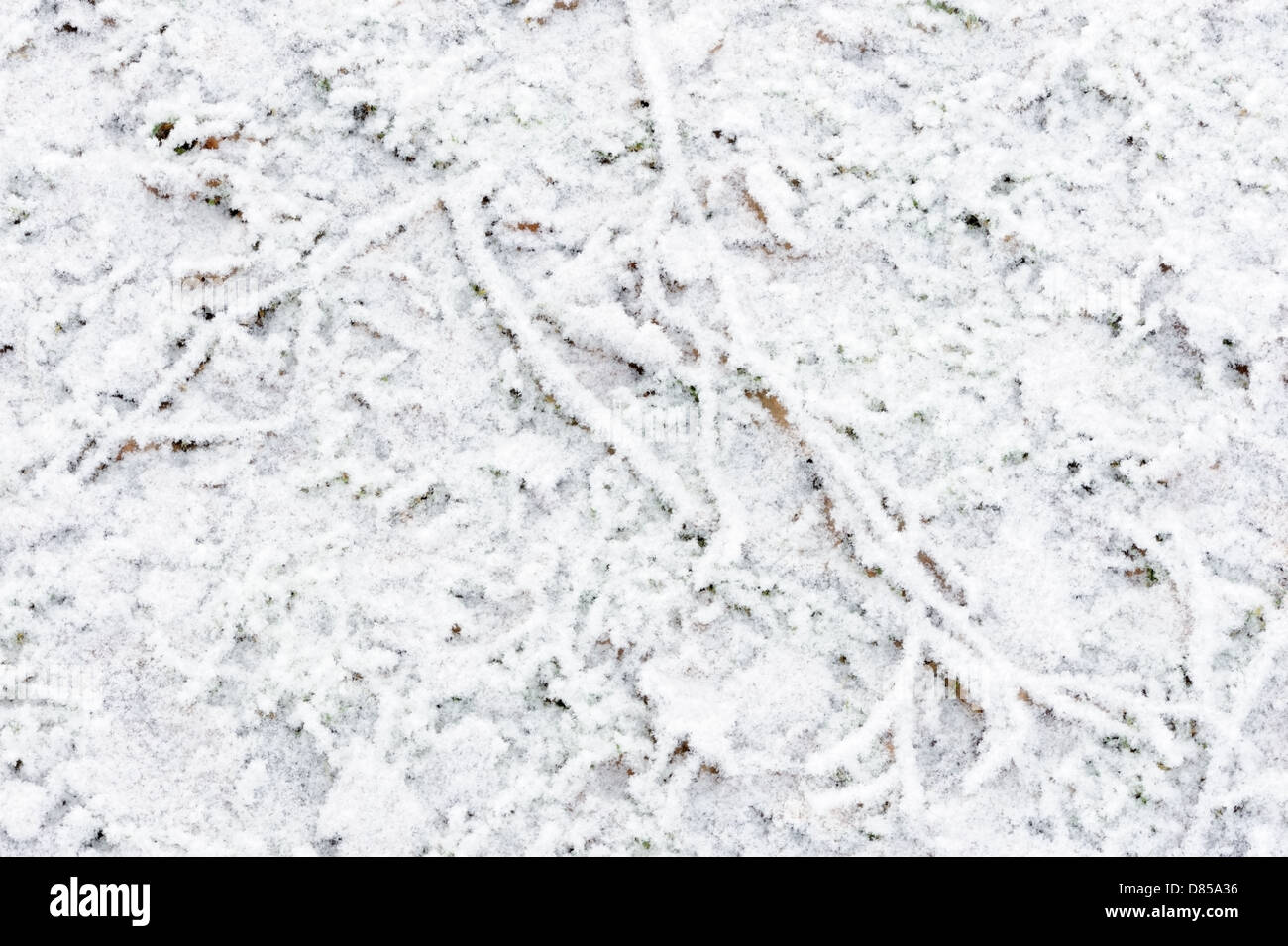 Snow floor texture hi-res stock photography and images - Alamy