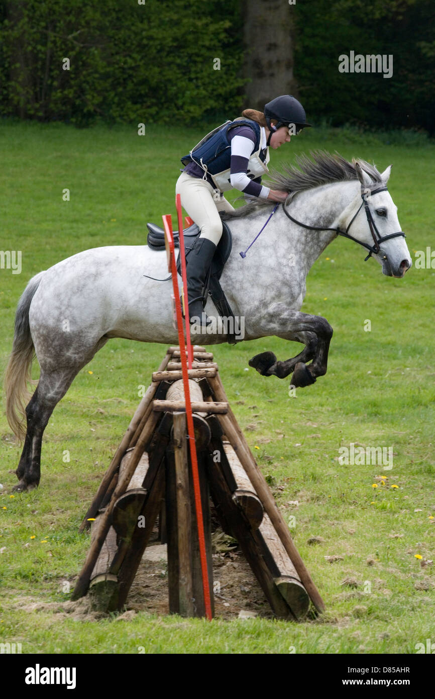 Hampshire: Equestrian cross-country event Stock Photo - Alamy