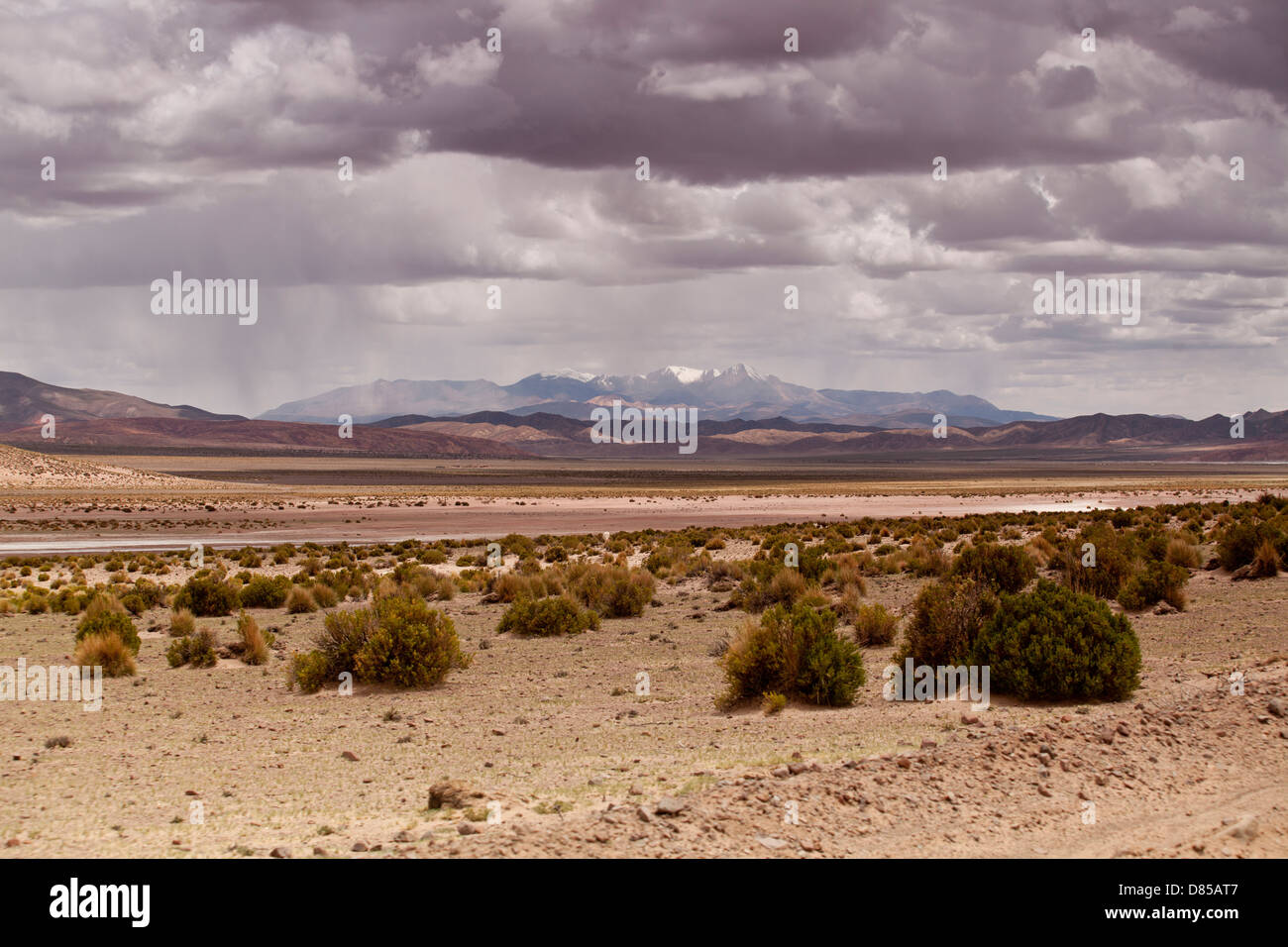 The desert landscape around the town of Tupiza Stock Photo - Alamy