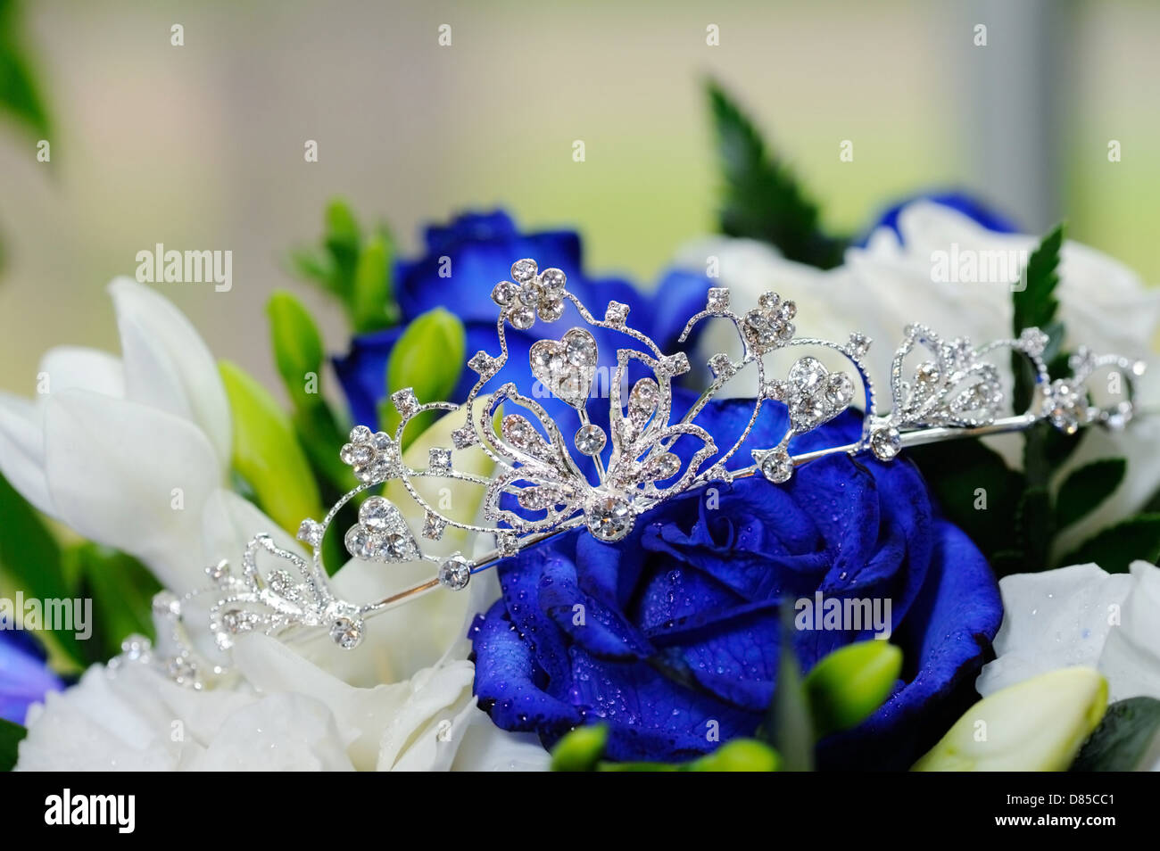 Diamond tiara hi-res stock photography and images - Alamy