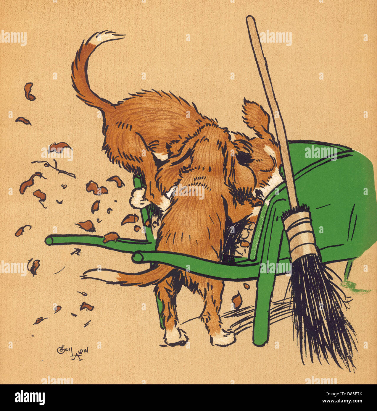 Dogs fighting over bone hi-res stock photography and images - Alamy