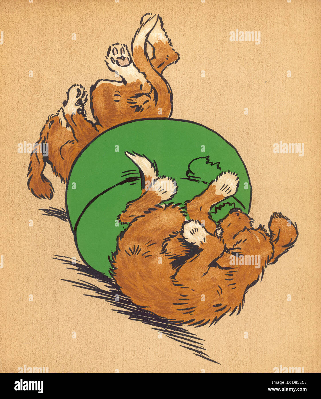 Twin puppies falling off footstool Stock Photo - Alamy