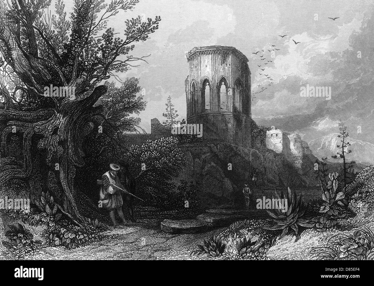 Ruins Of Samaria High Resolution Stock Photography and Images - Alamy