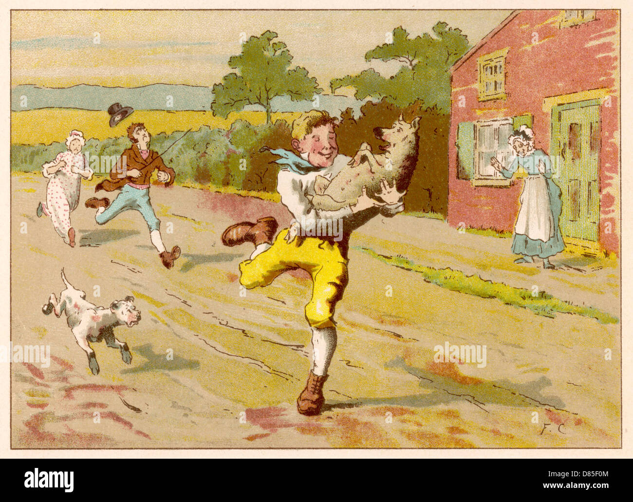 Pig racing hi-res stock photography and images - Alamy