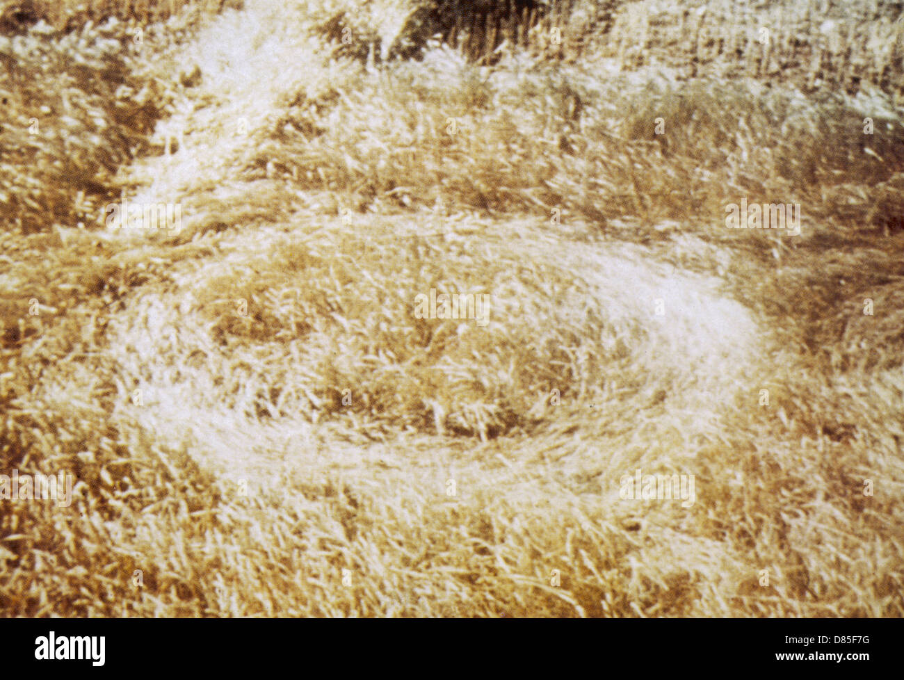 UFO saucer nest, Langenburg, Saskatchewan, Canada Stock Photo - Alamy