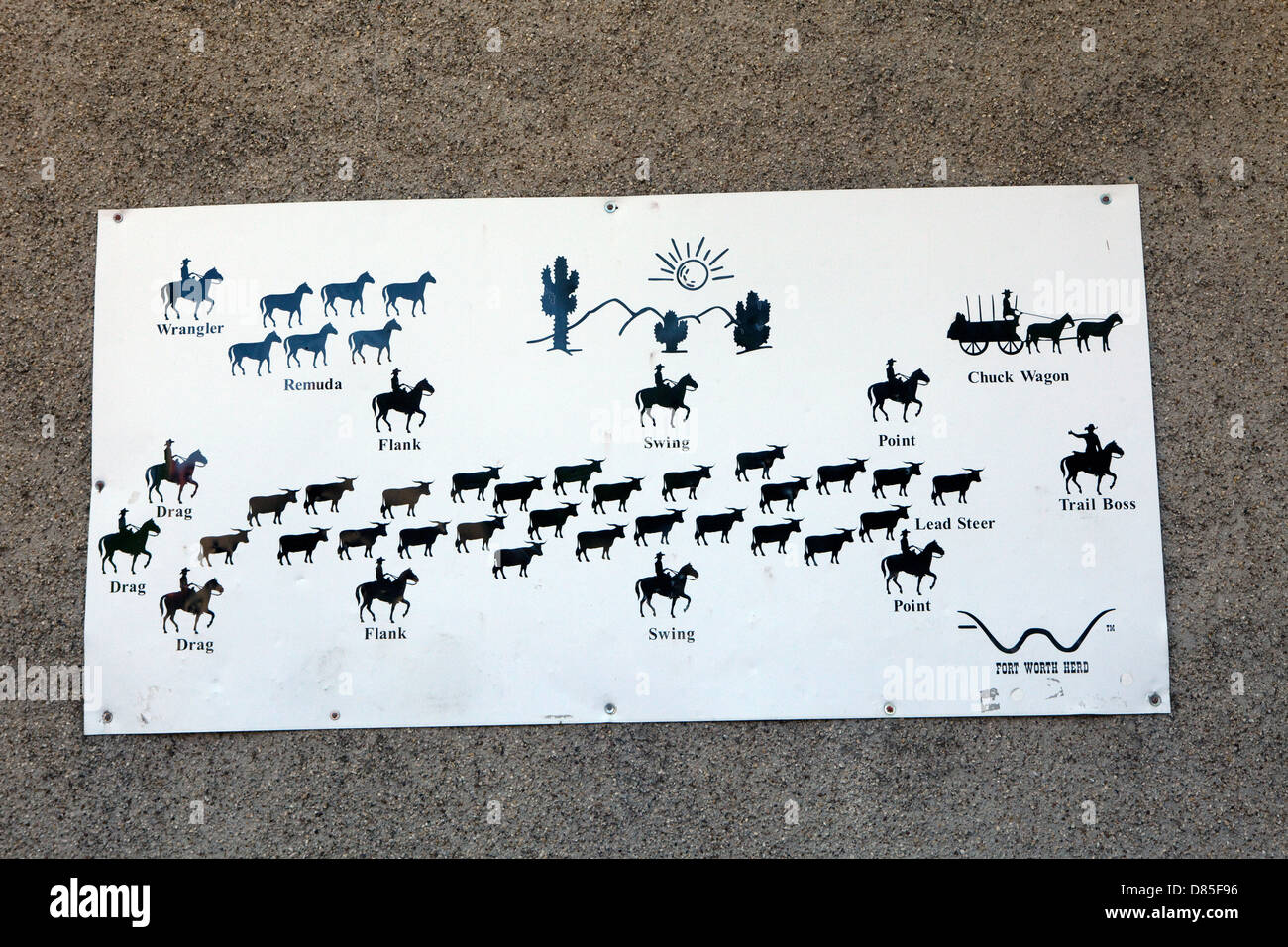 Cattle drive hi-res stock photography and images - Alamy