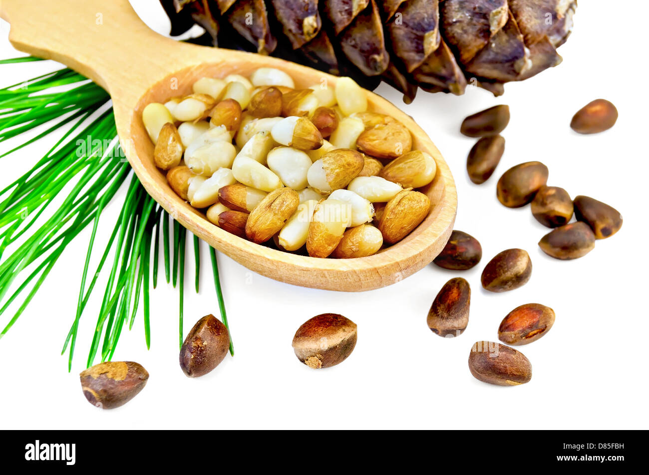 Cedar nuts and bump, cedar nut kernels in a wooden spoon and a green ...