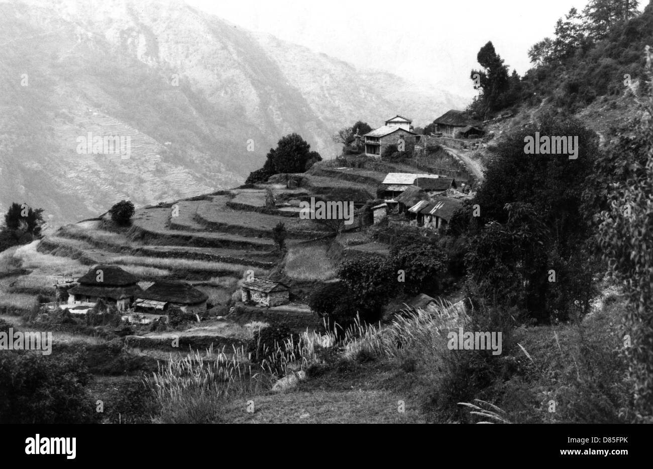 Dhampas hi-res stock photography and images - Alamy