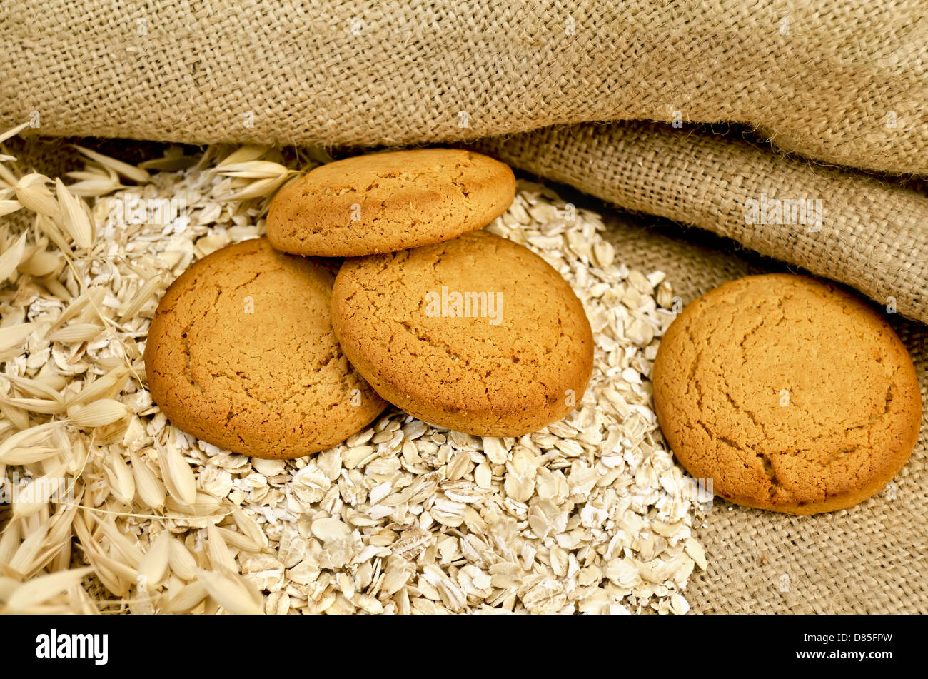 Four round oat biscuits on a pile of oatmeal with stalks of oats on ...