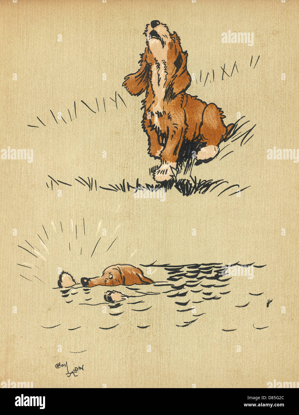 Dogs on the water hi-res stock photography and images - Alamy