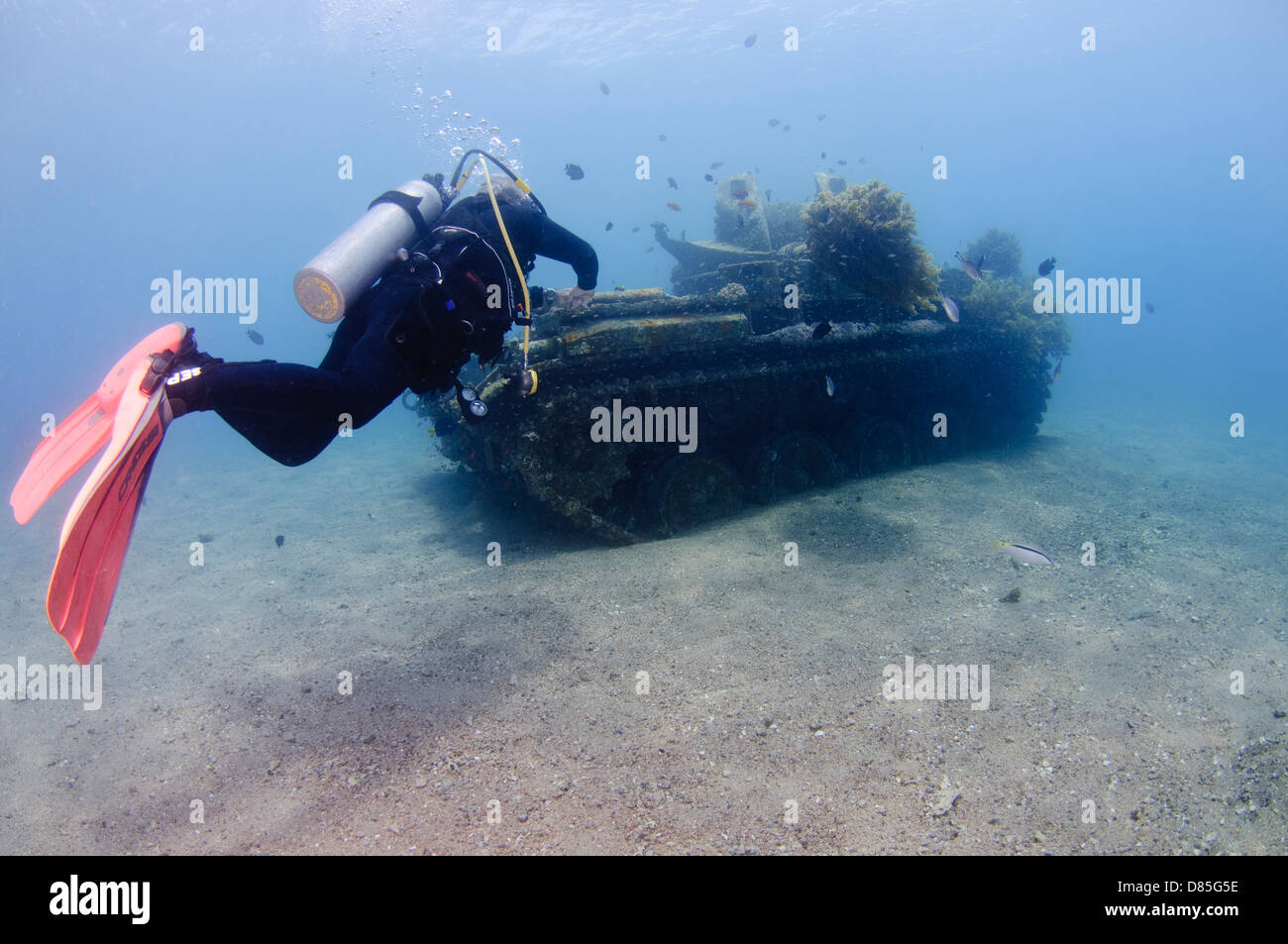 Divers at a sunken tank off the cost of Aqaba, Red Sea Jordan Stock ...