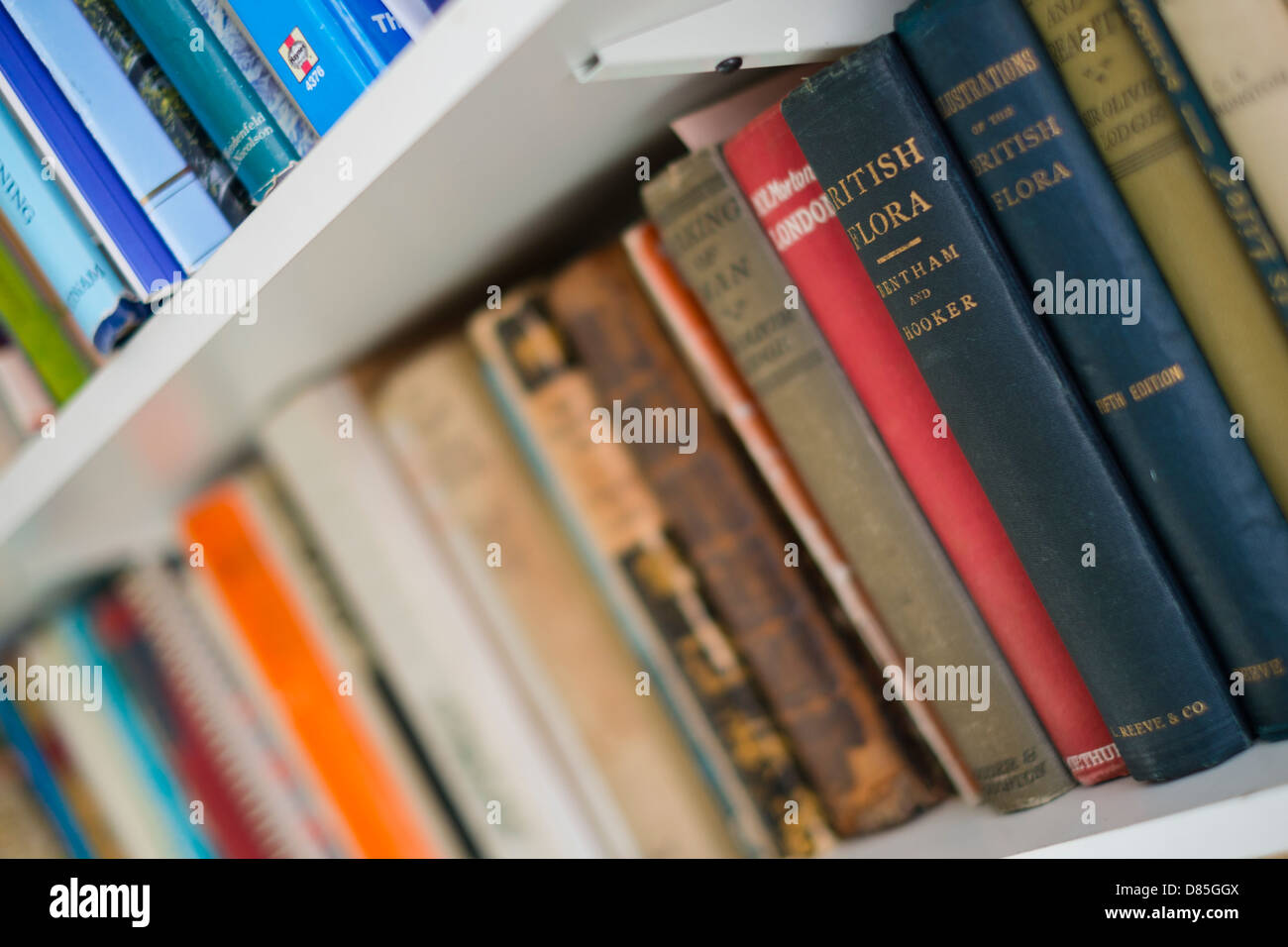 Books collections hi-res stock photography and images - Alamy