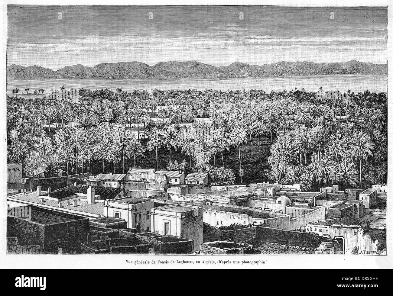 Algeria oasis not sahara Black and White Stock Photos & Images - Alamy