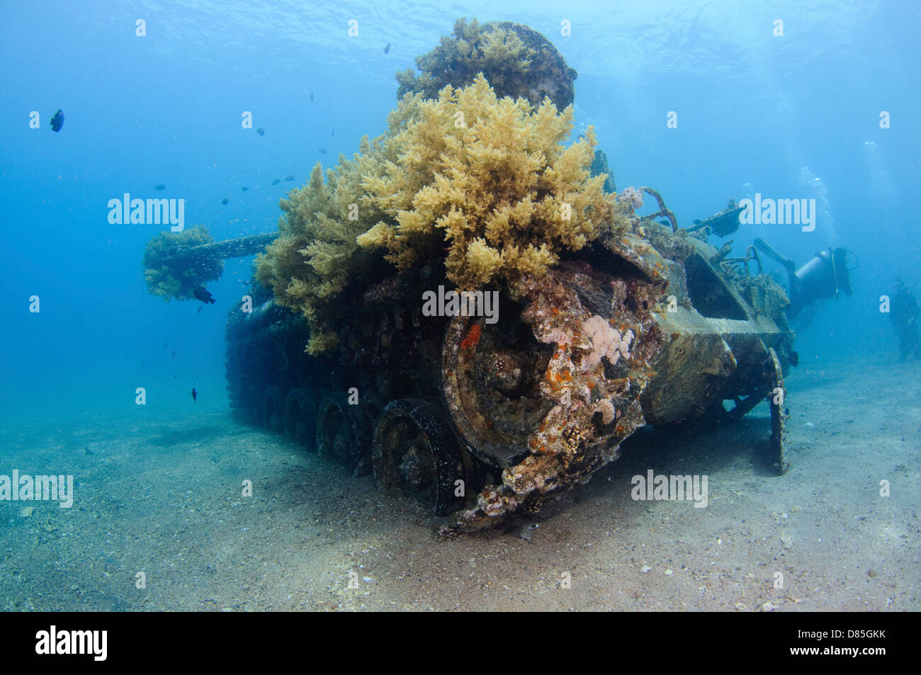 Divers at a sunken tank off the cost of Aqaba, Red Sea Jordan Stock ...
