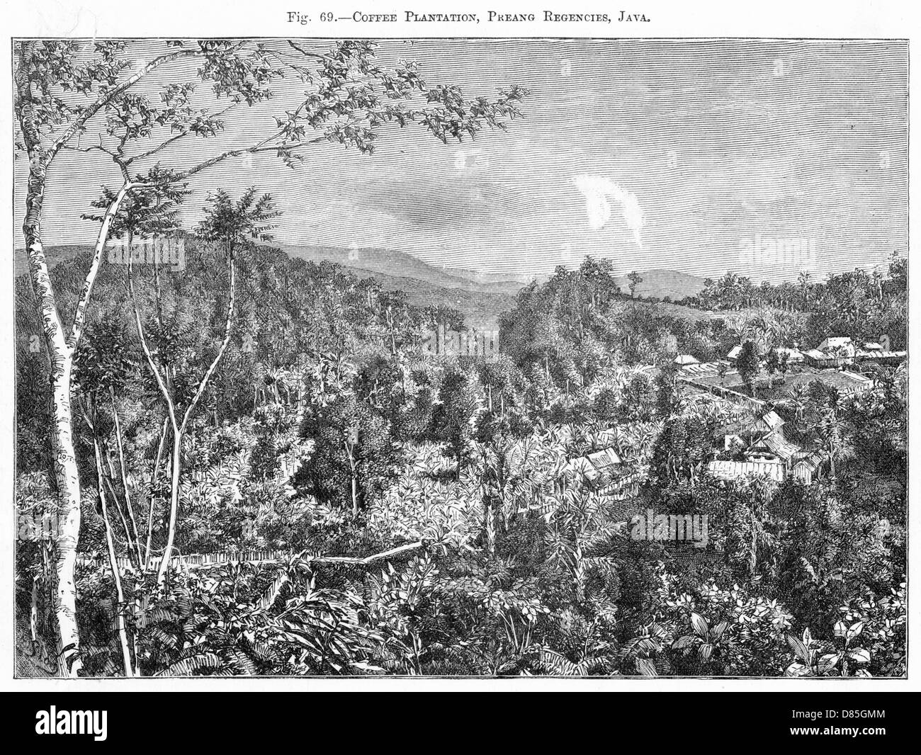 Indonesia java Black and White Stock Photos & Images - Alamy