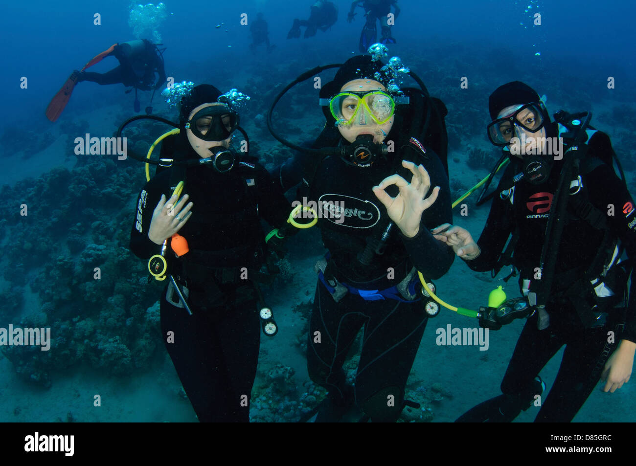 A group of three scuba divers posing for the camera Photographed in the ...
