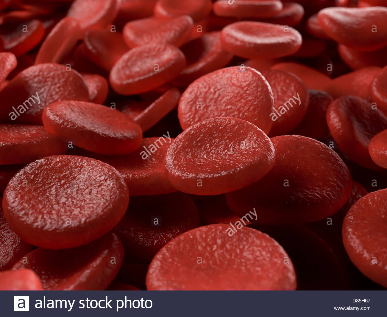 Red Blood Cells Close Up High Resolution Stock Photography and Images ...