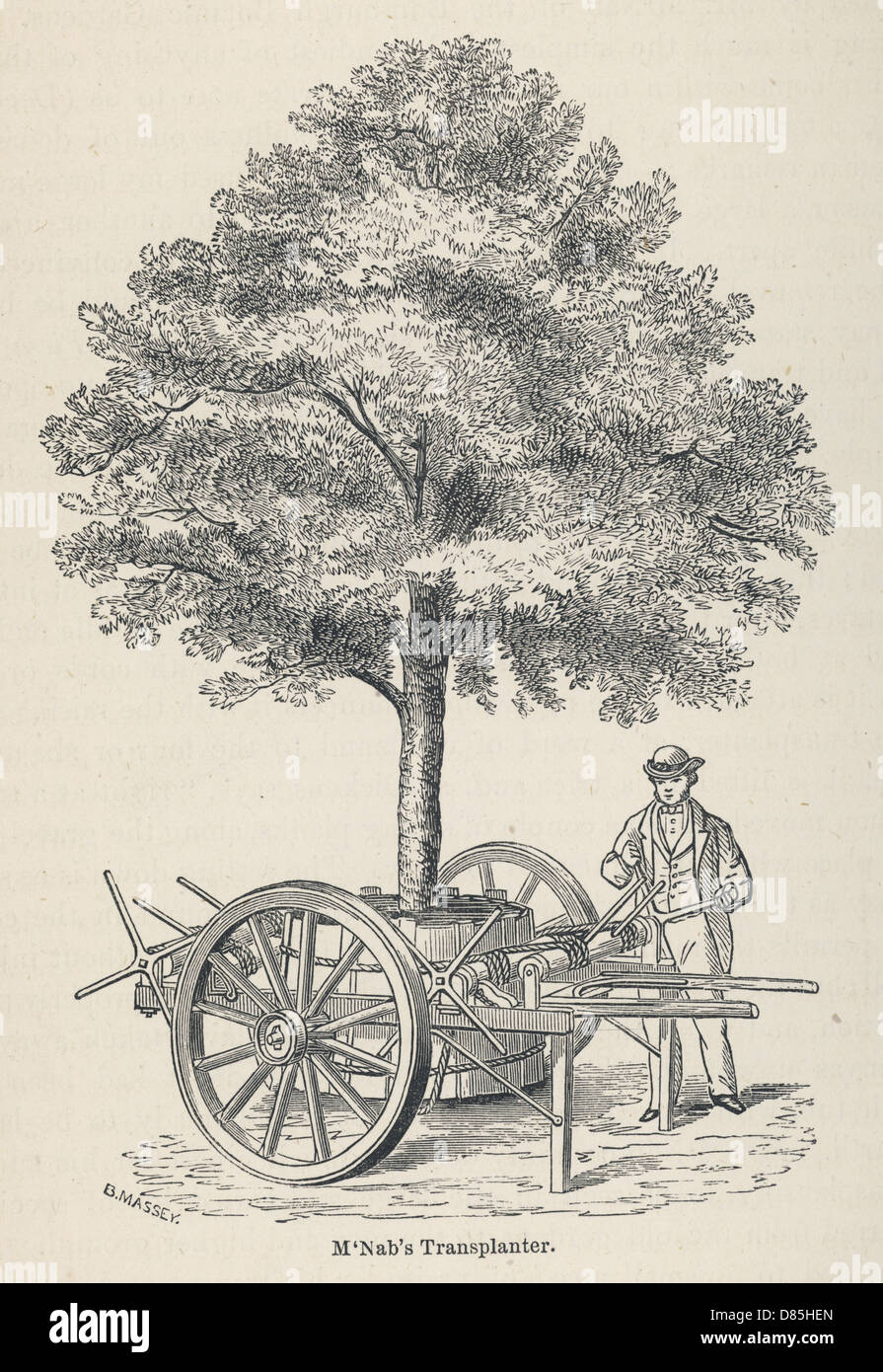 Tree uproot machine hi-res stock photography and images - Alamy