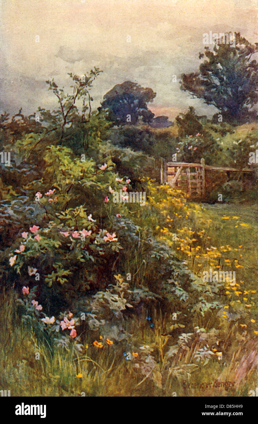 English field hi-res stock photography and images - Alamy