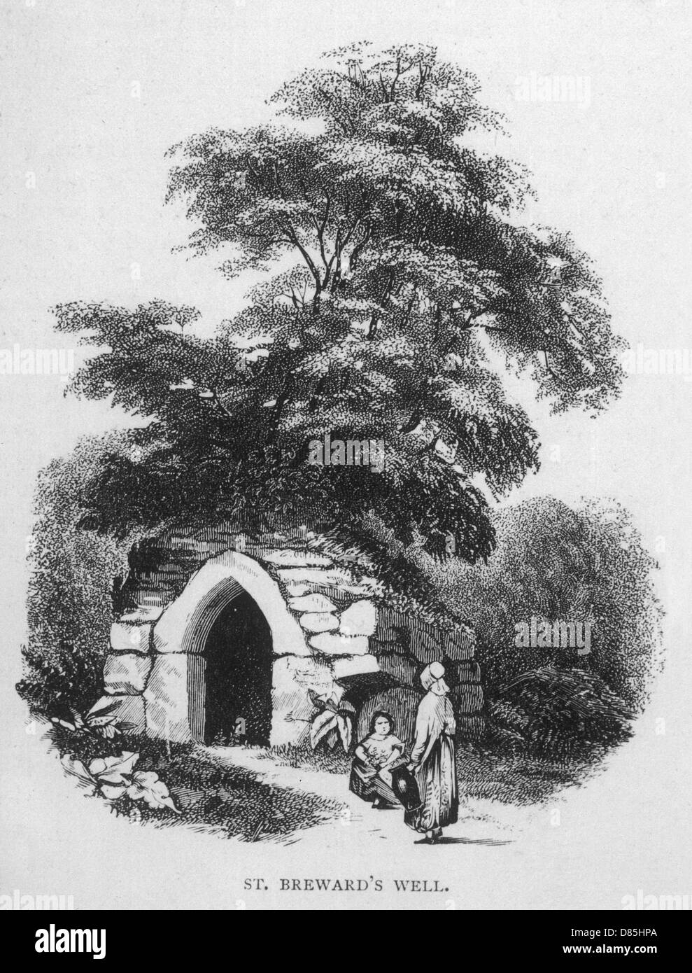 Brewards hi-res stock photography and images - Alamy