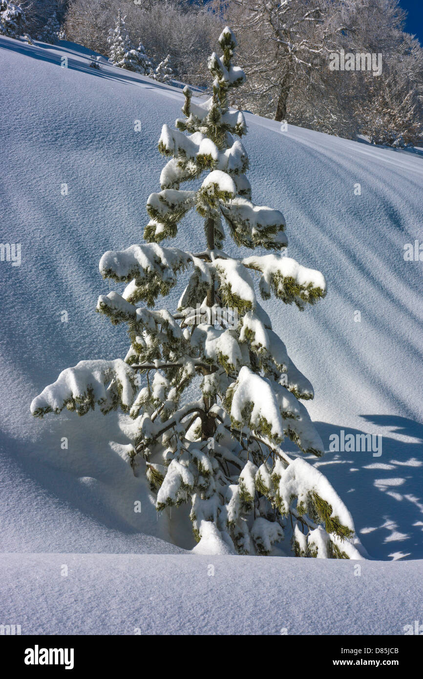 Bitter cold chilly hi-res stock photography and images - Alamy