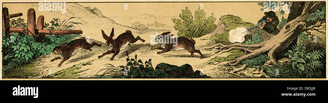 Shooting rabbits hi-res stock photography and images - Alamy