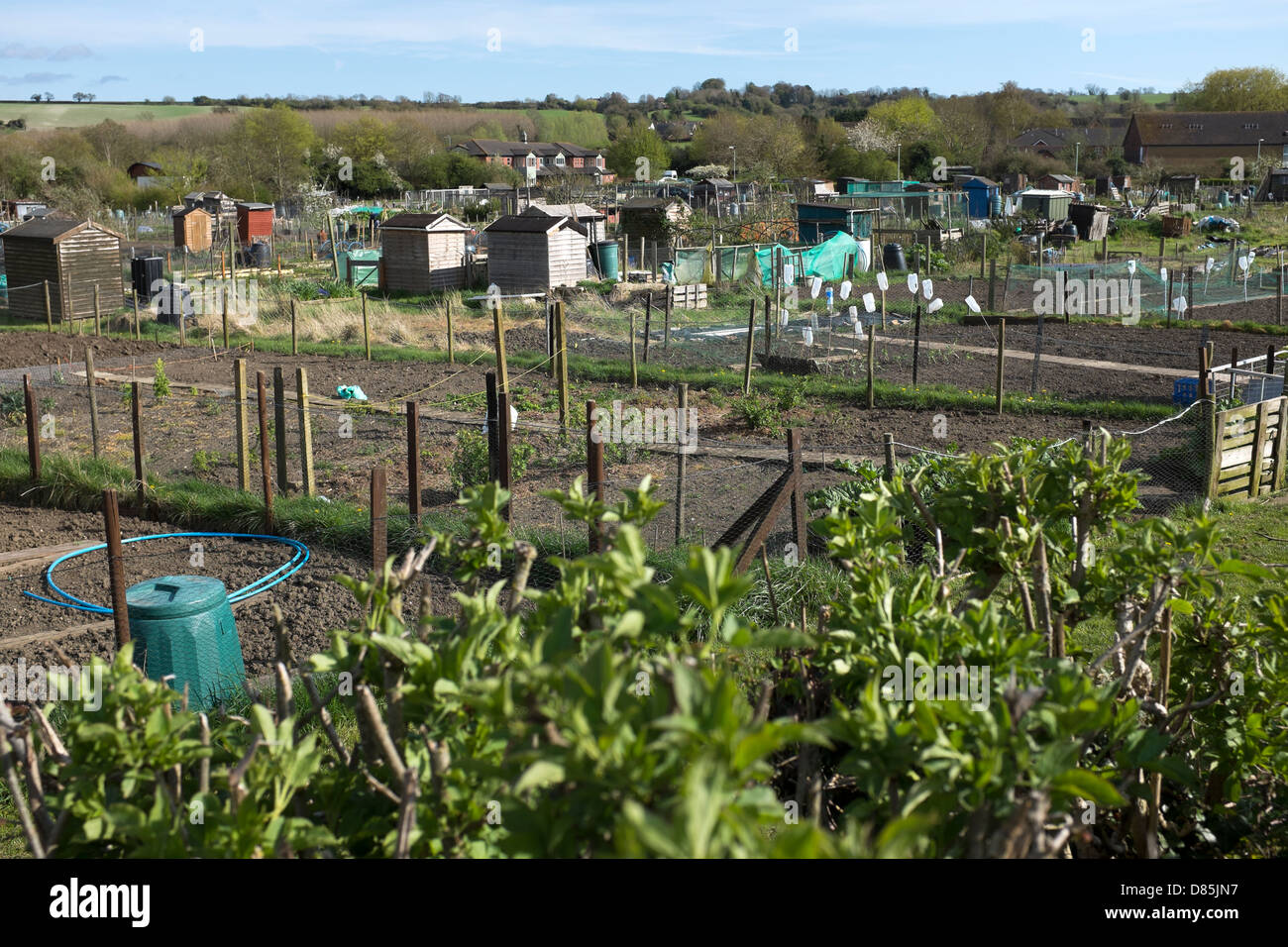 Allotments Stock Photo: 56672819 - Alamy