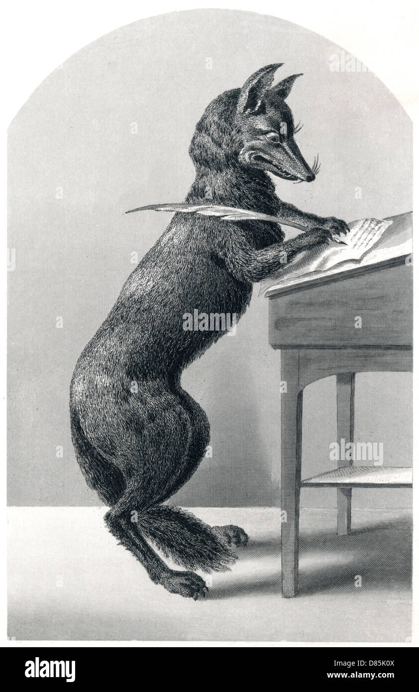 Sly mr fox hi-res stock photography and images - Alamy