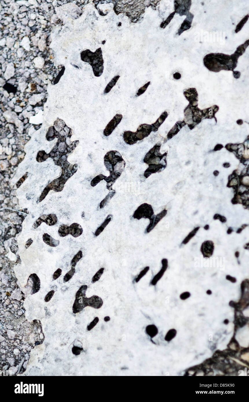 weathered white plastic Stock Photo - Alamy