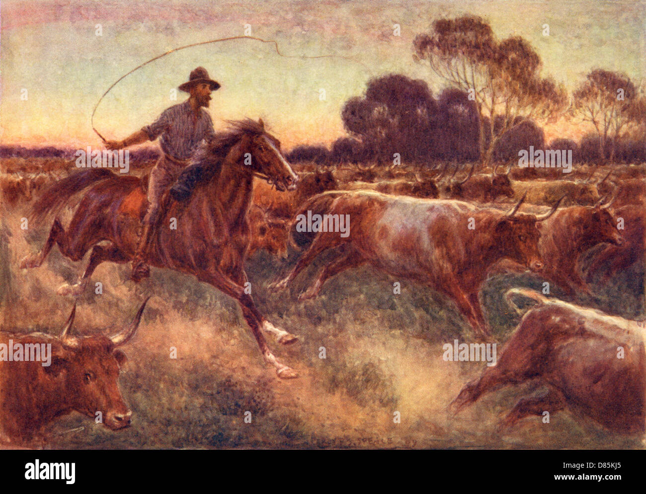 Australian cattle farmer hi-res stock photography and images - Alamy