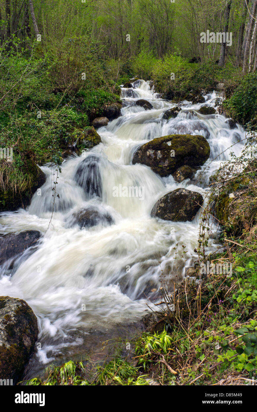 Cascades waterfalls in river flowing through woods Stock Photo - Alamy