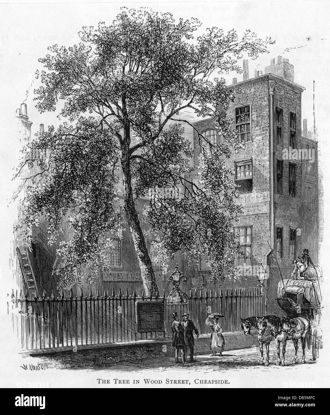 Wood Street Tree Stock Photo - Alamy