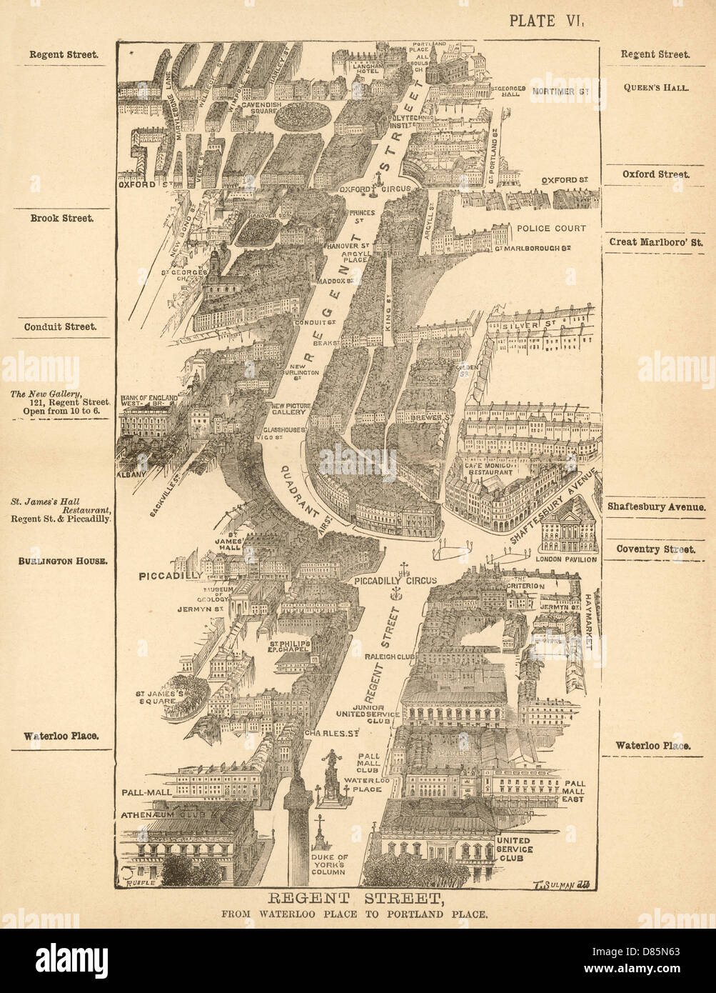 Regent bird hi-res stock photography and images - Alamy