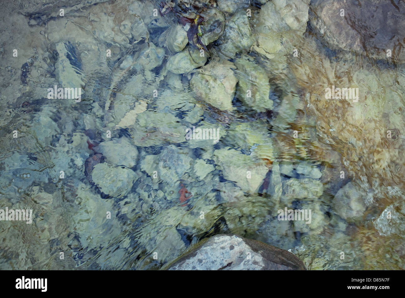 Transparent clear mountain river with a stone bottom Stock Photo - Alamy