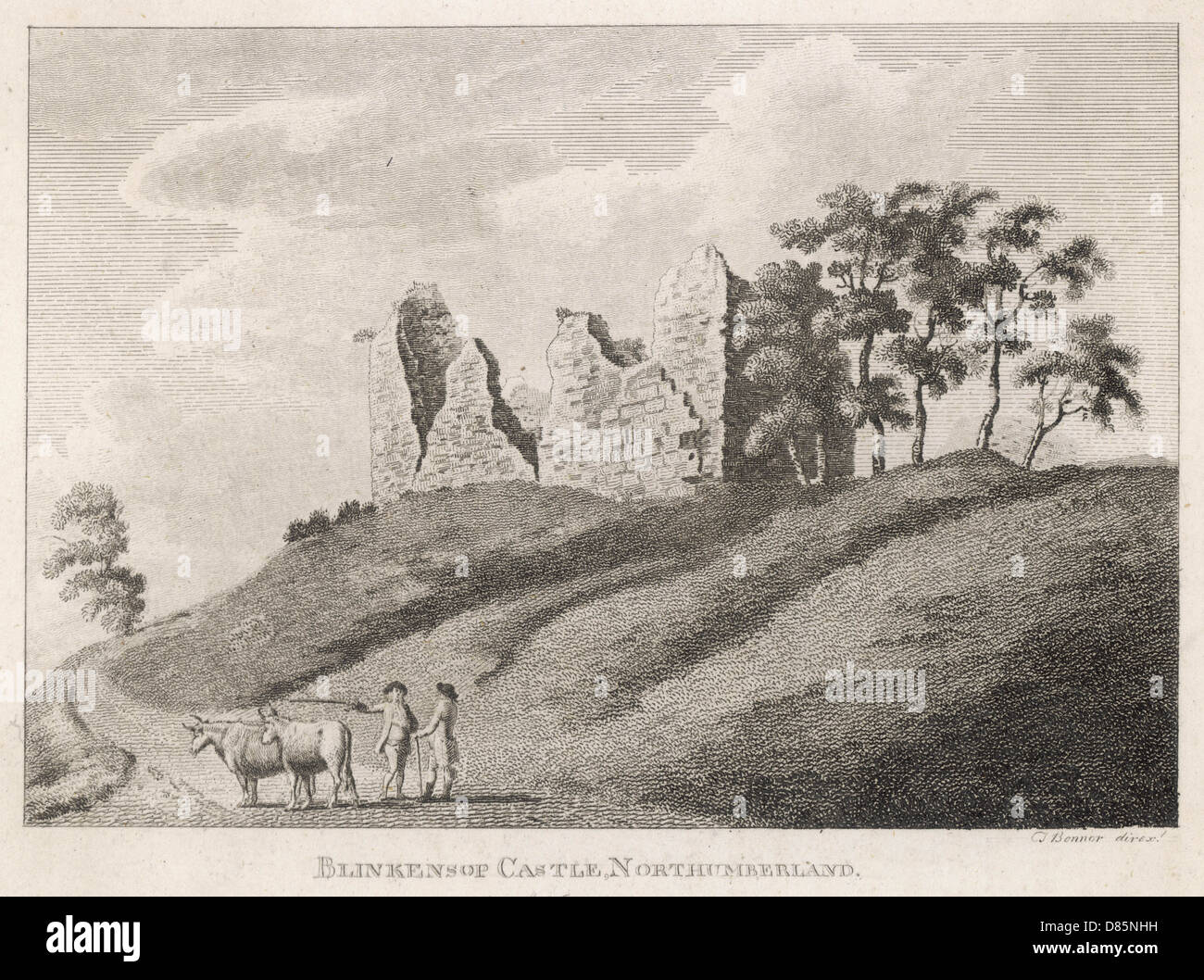 Blenkinsop hi-res stock photography and images - Alamy