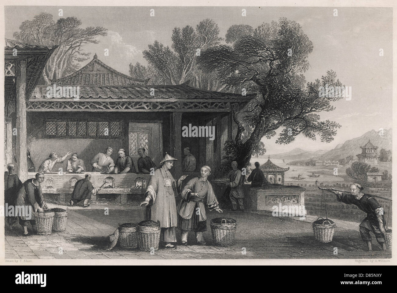 Chinese tea industry Stock Photo - Alamy